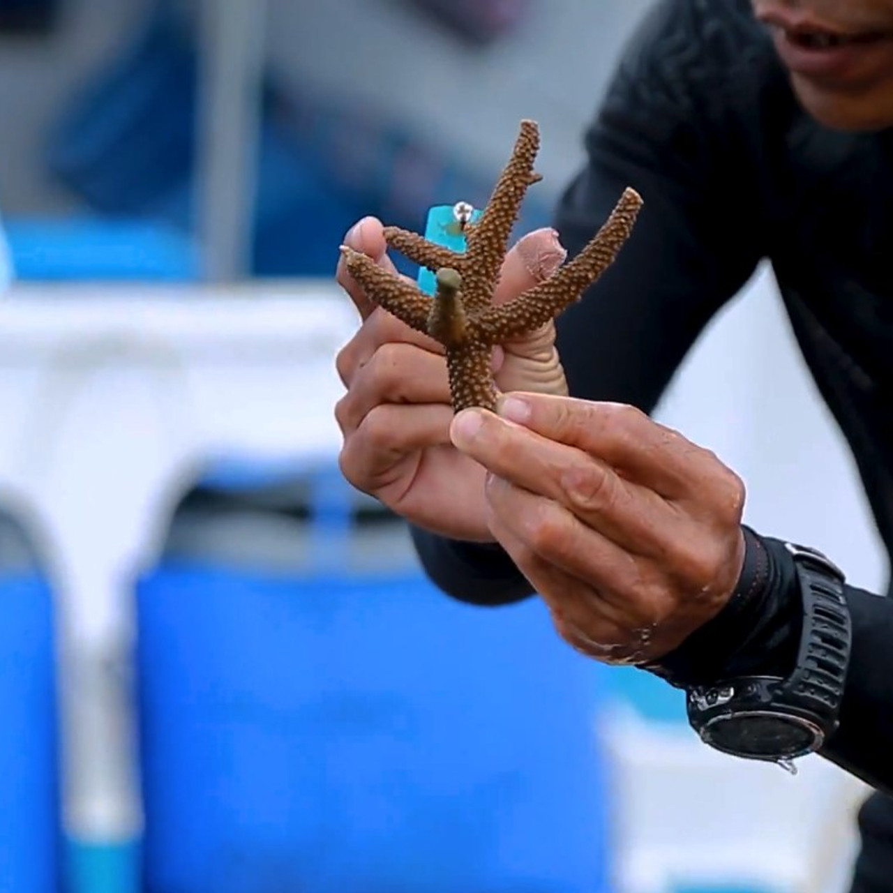 ALTV ช่อง 4 - ภาวะสับสนเฉียบพลันในผู้สูงอายุ