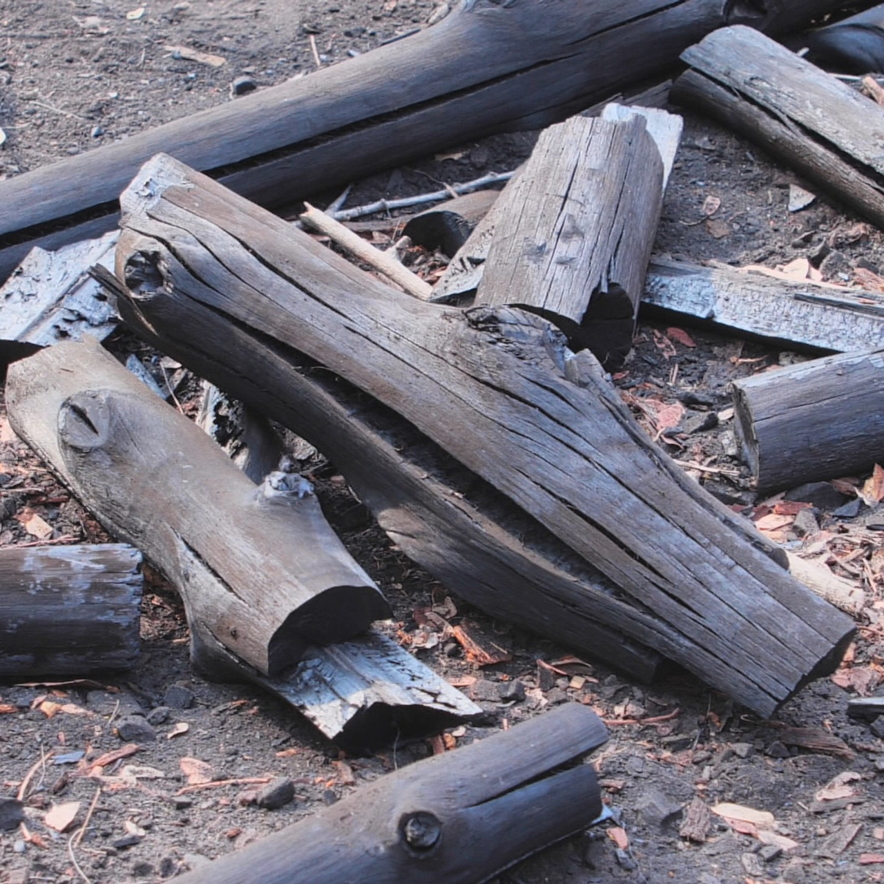 ALTV ช่อง 4 - ถ่านไม้ด๊ำดำ