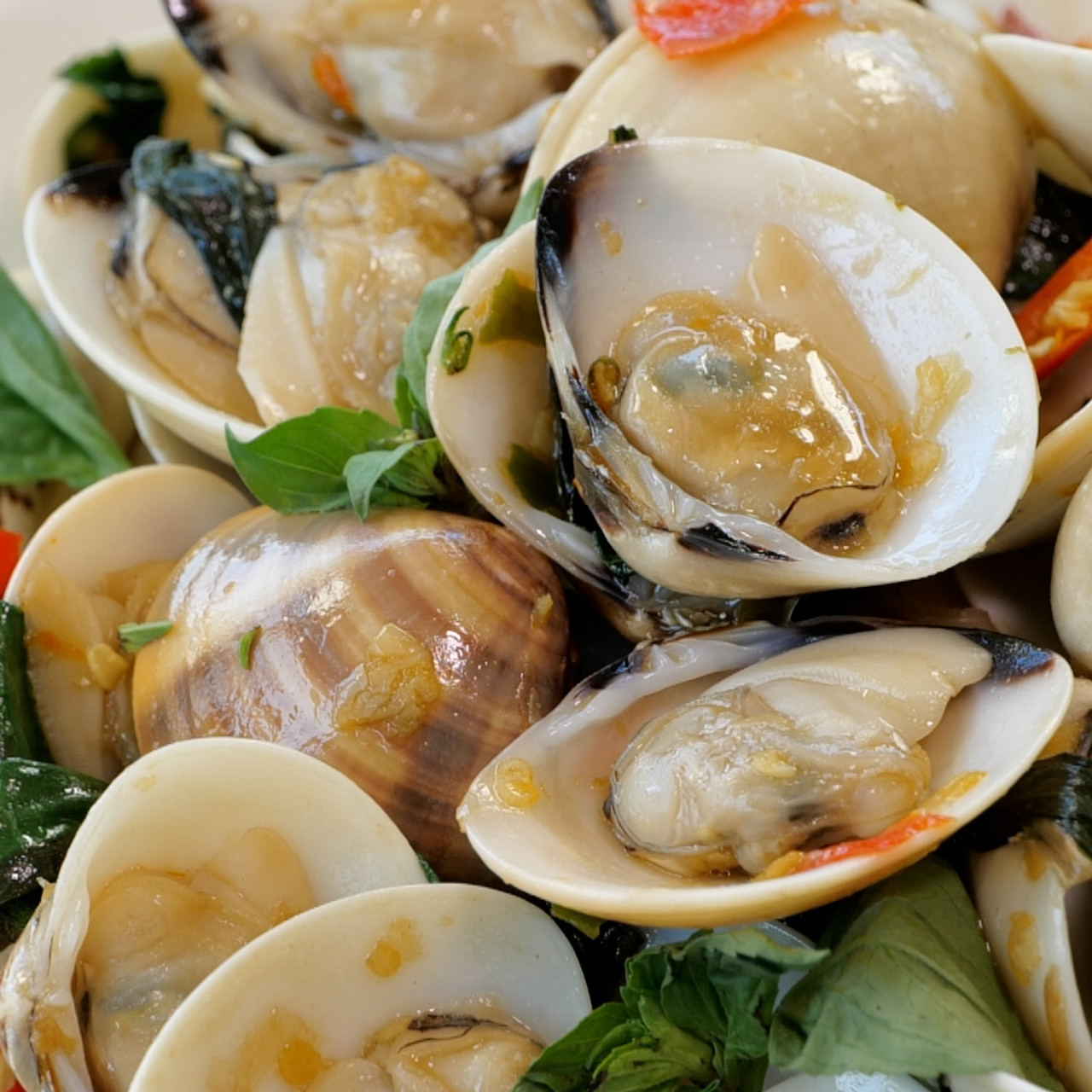 ALTV ช่อง 4 - หอยตลับผัดโหระพา