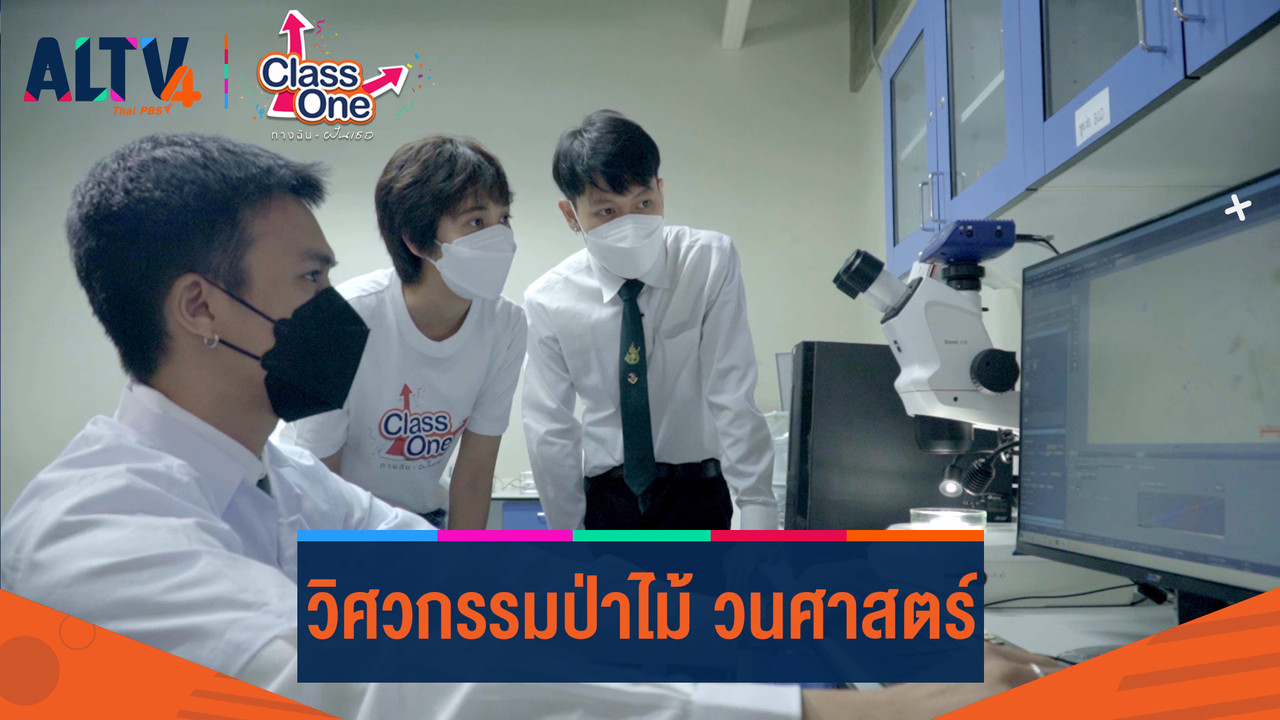 ALTV ช่อง 4 - วิศวกรรมป่าไม้ วนศาสตร์