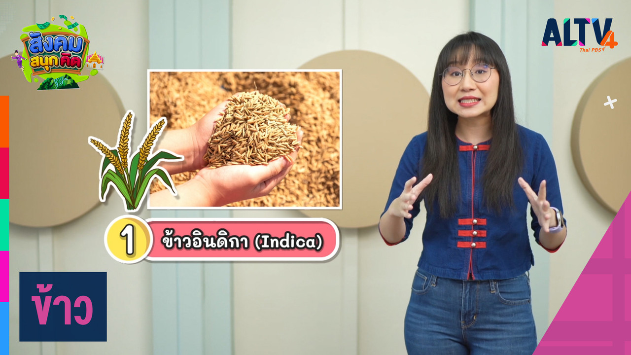 ALTV ช่อง 4 - ข้าว