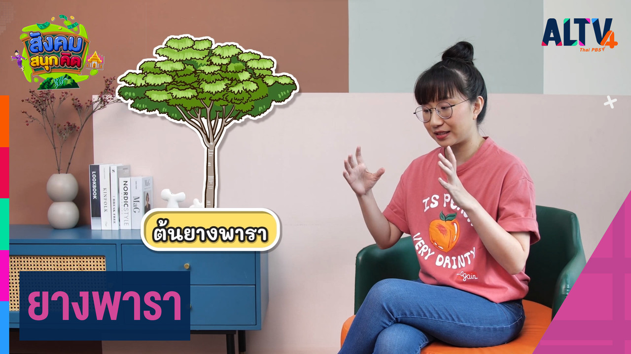 ALTV ช่อง 4 - ยางพารา