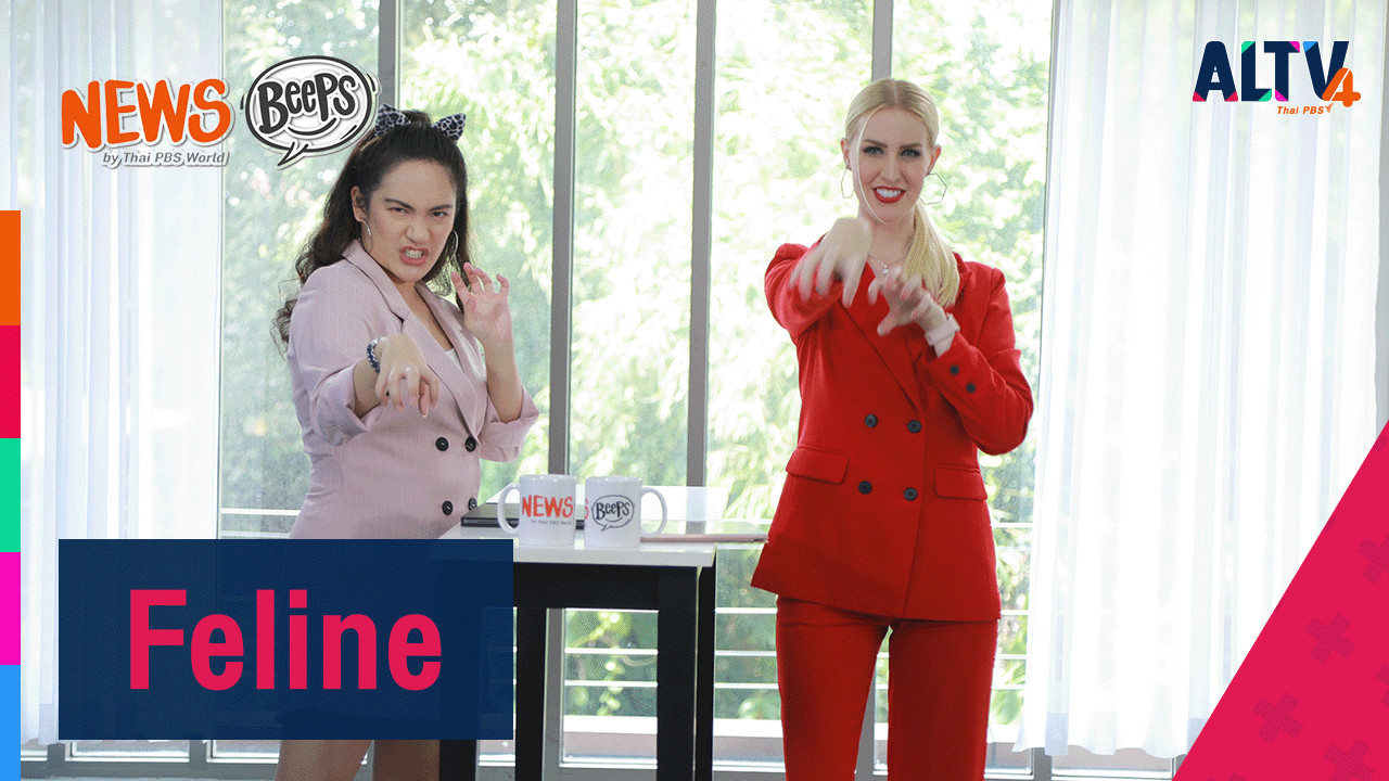 ALTV ช่อง 4 - Feline