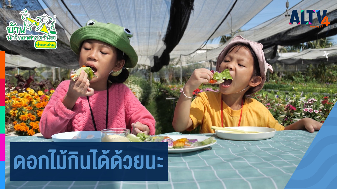 ALTV ช่อง 4 - ดอกไม้กินได้ด้วยนะ