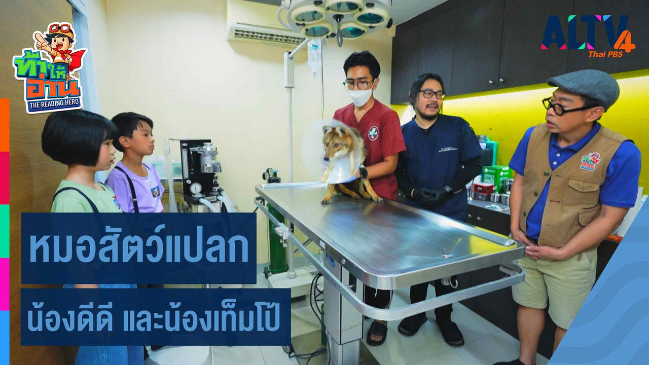ALTV ช่อง 4 - หมอสัตว์แปลก : น้องดีดี และน้องเท็มโป้