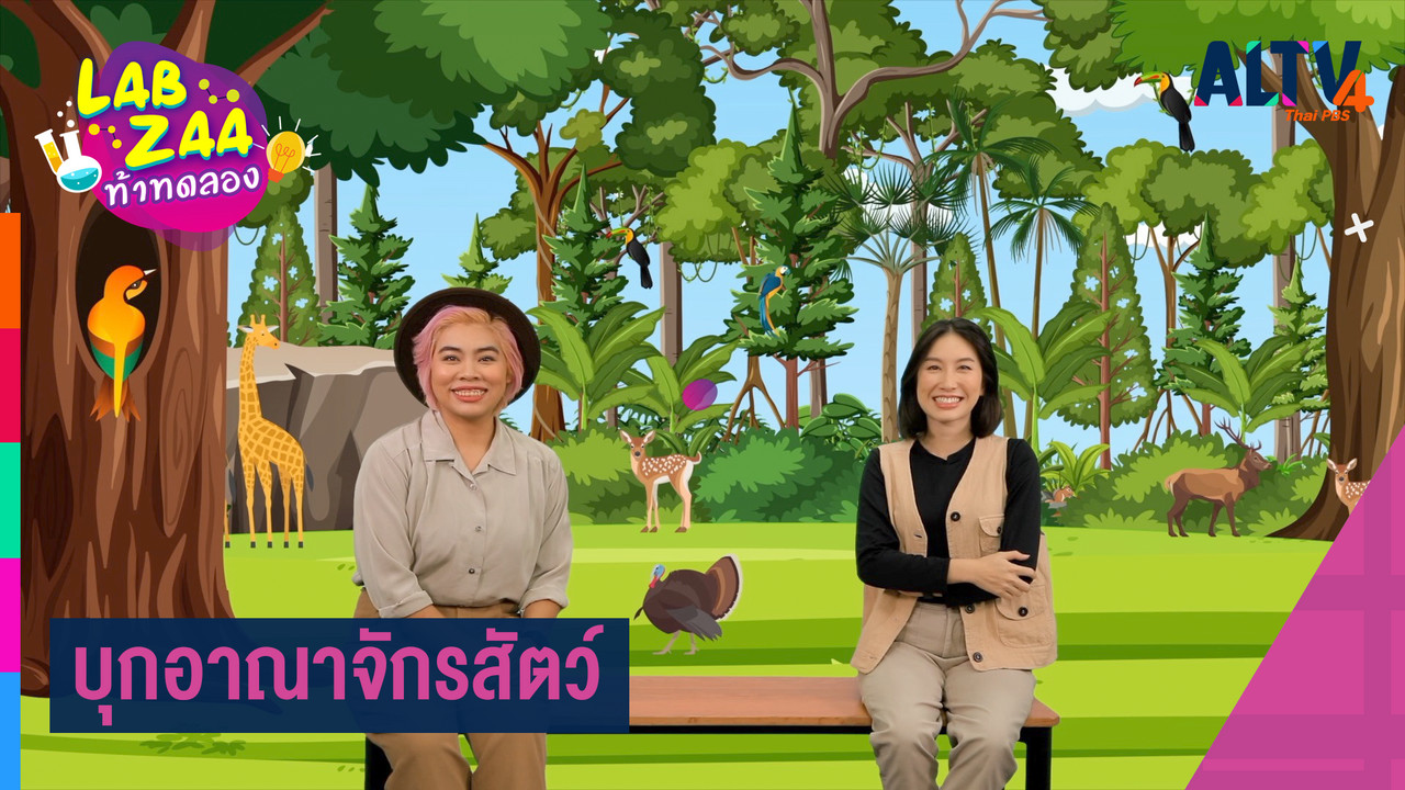 ALTV ช่อง 4 - บุกอาณาจักรสัตว์