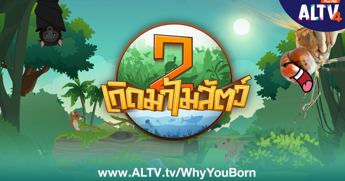ALTV ช่อง 4 - เกิดมาไม... สัตว์