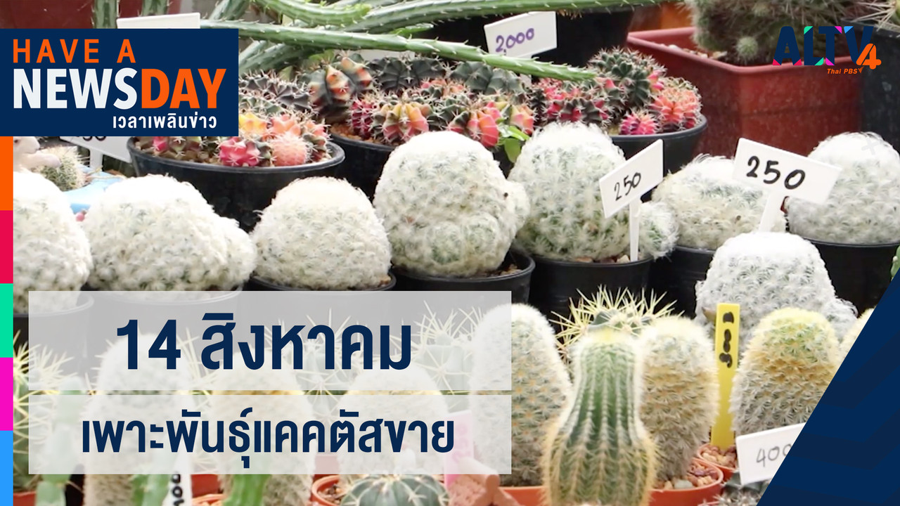 ALTV ช่อง 4 - เวลาเพลินข่าว (14 ส.ค . 63)