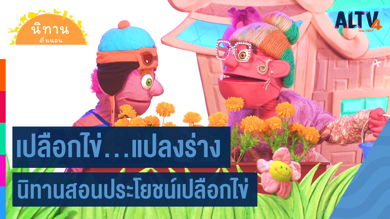 ALTV ช่อง 4 - เปลือกไข่…แปลงร่าง