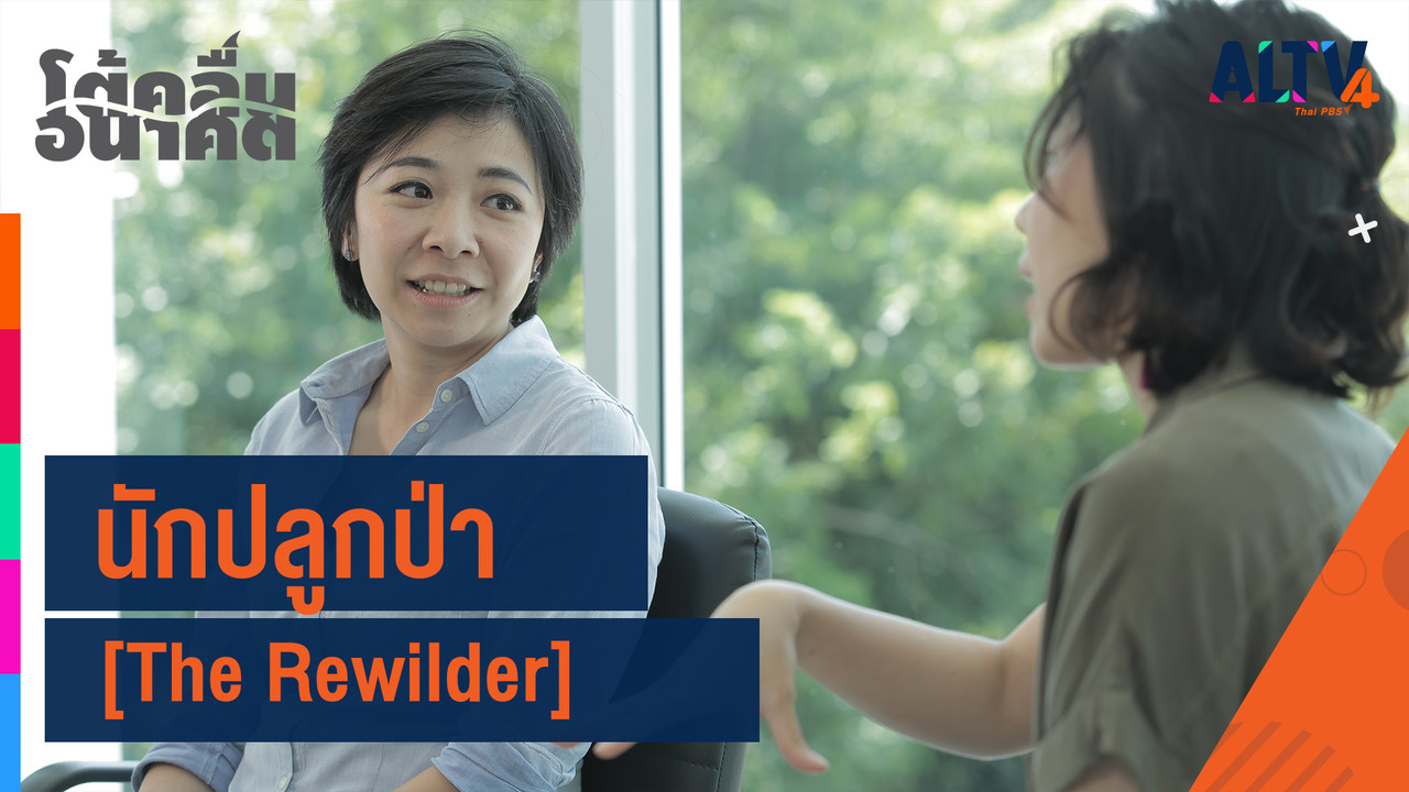 ALTV ช่อง 4 - นักปลูกป่า [The Rewilder]