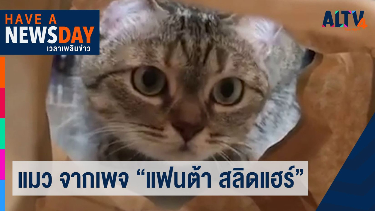 ALTV ช่อง 4 - เวลาเพลินข่าว (12 ต.ค. 63)