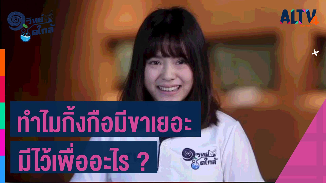 ALTV ช่อง 4 - ทำไมกิ้งกือมีขาเยอะ มีไว้เพื่ออะไร