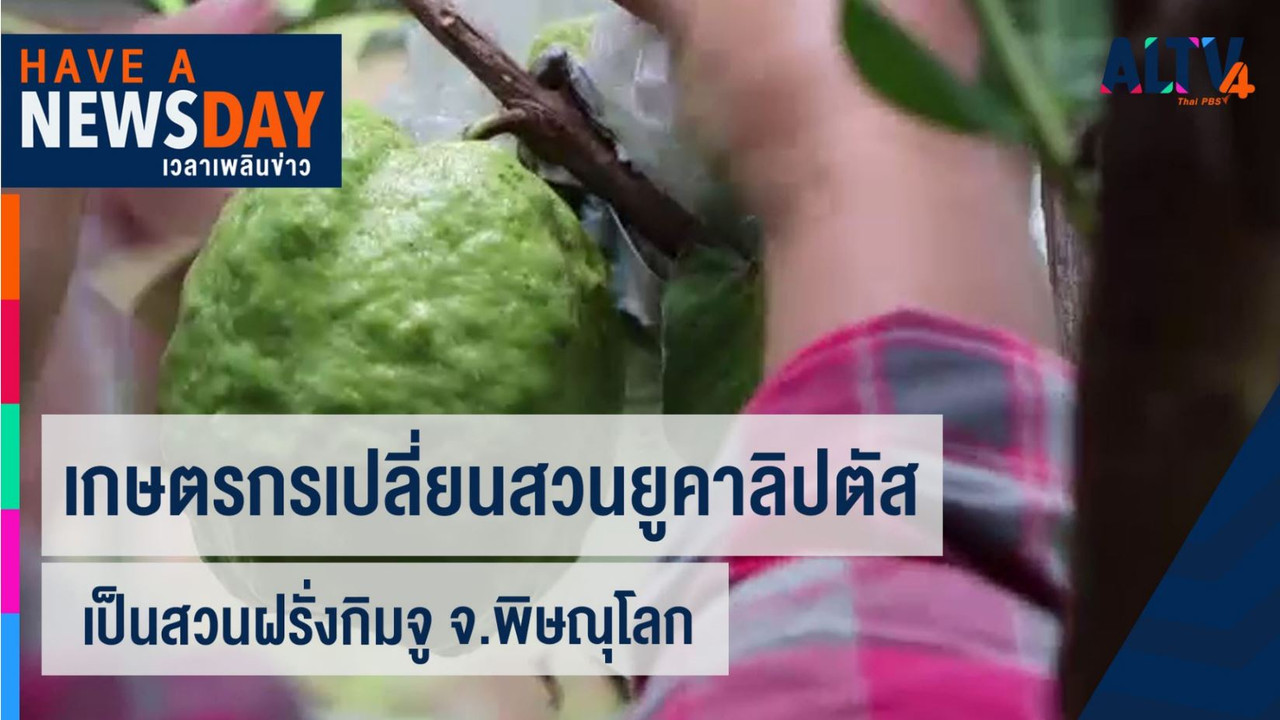 ALTV ช่อง 4 - เวลาเพลินข่าว (19 พ.ย. 63)