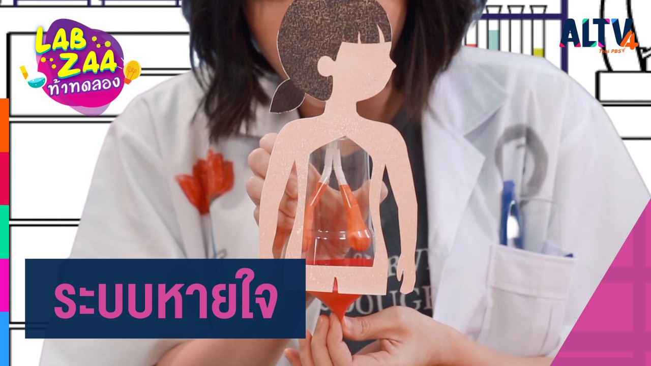 ALTV ช่อง 4 - ระบบหายใจ