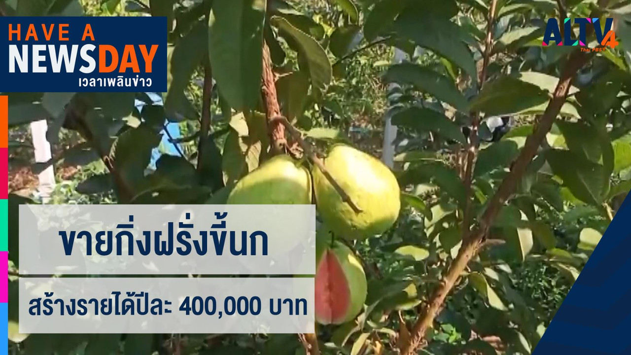ALTV ช่อง 4 - เวลาเพลินข่าว (11 ก.พ.64)