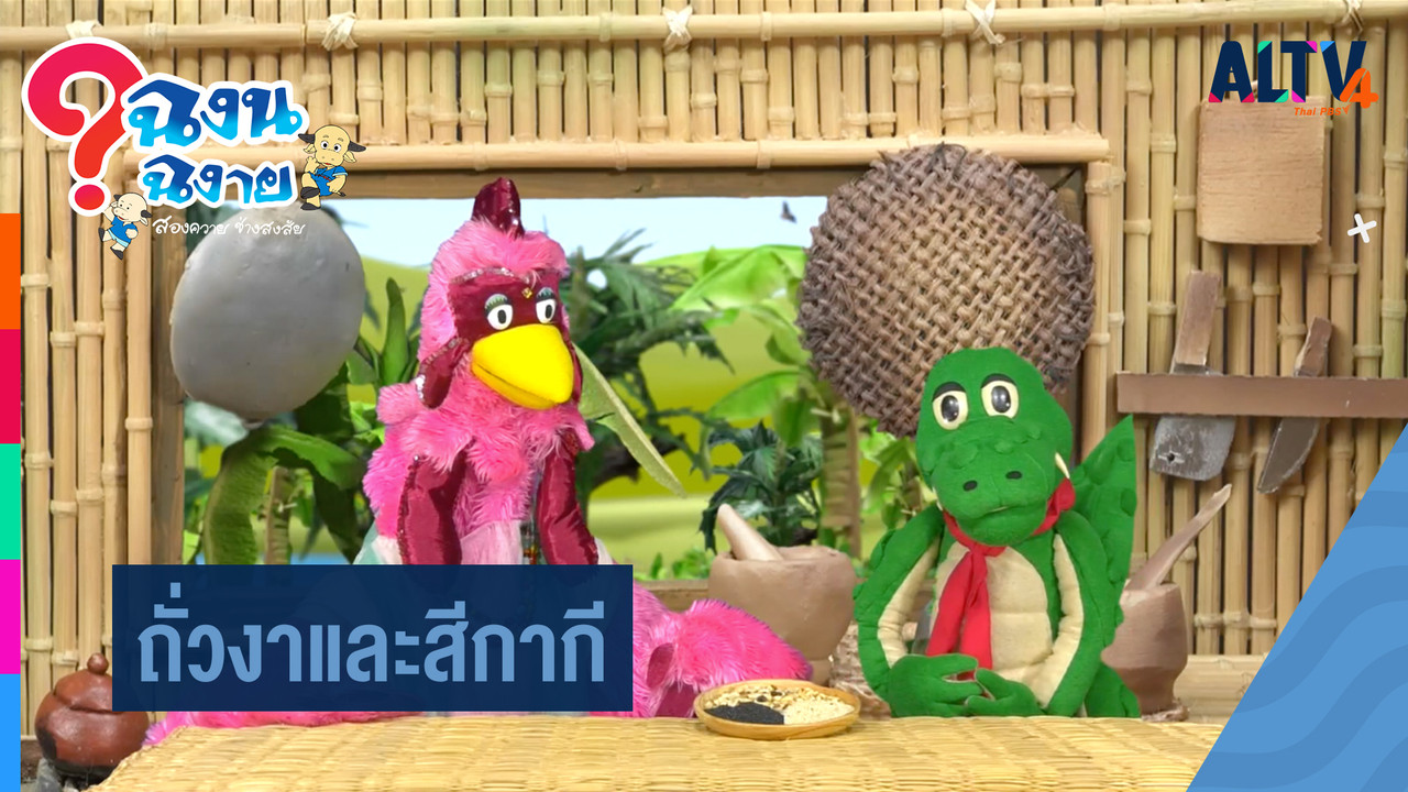 ALTV ช่อง 4 - ถั่วงาและสีกากี