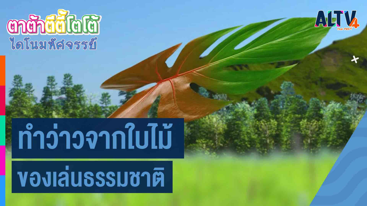 ALTV ช่อง 4 - ทำว่าวจากใบไม้