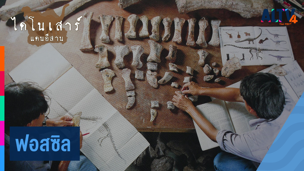 ALTV ช่อง 4 - ฟอสซิล