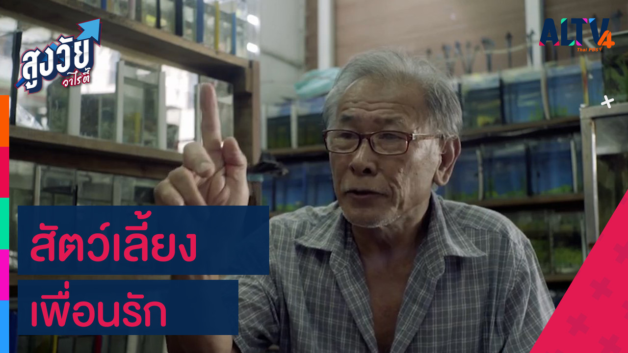 ALTV ช่อง 4 - สัตว์เลี้ยง เพื่อนรัก