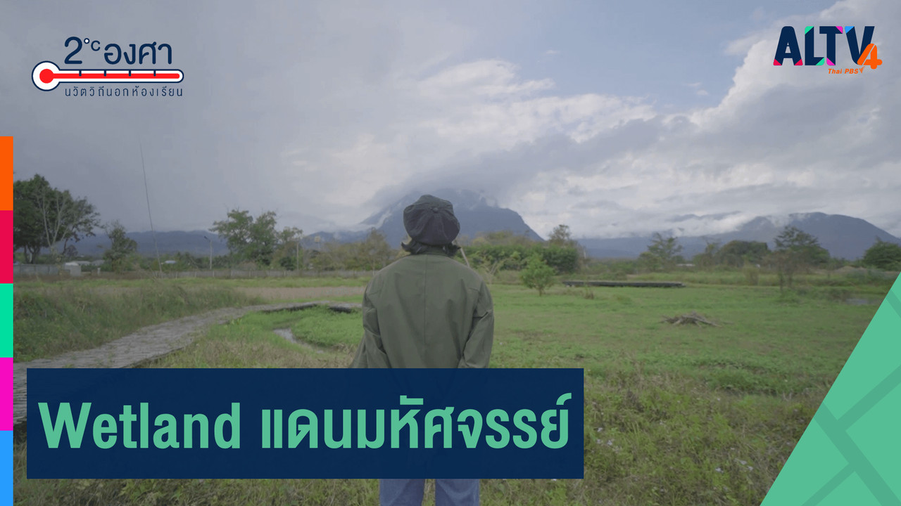 ALTV ช่อง 4 - Wetland แดนมหัศจรรย์