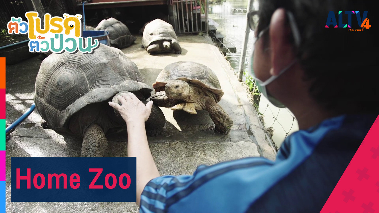 ALTV ช่อง 4 - Home Zoo