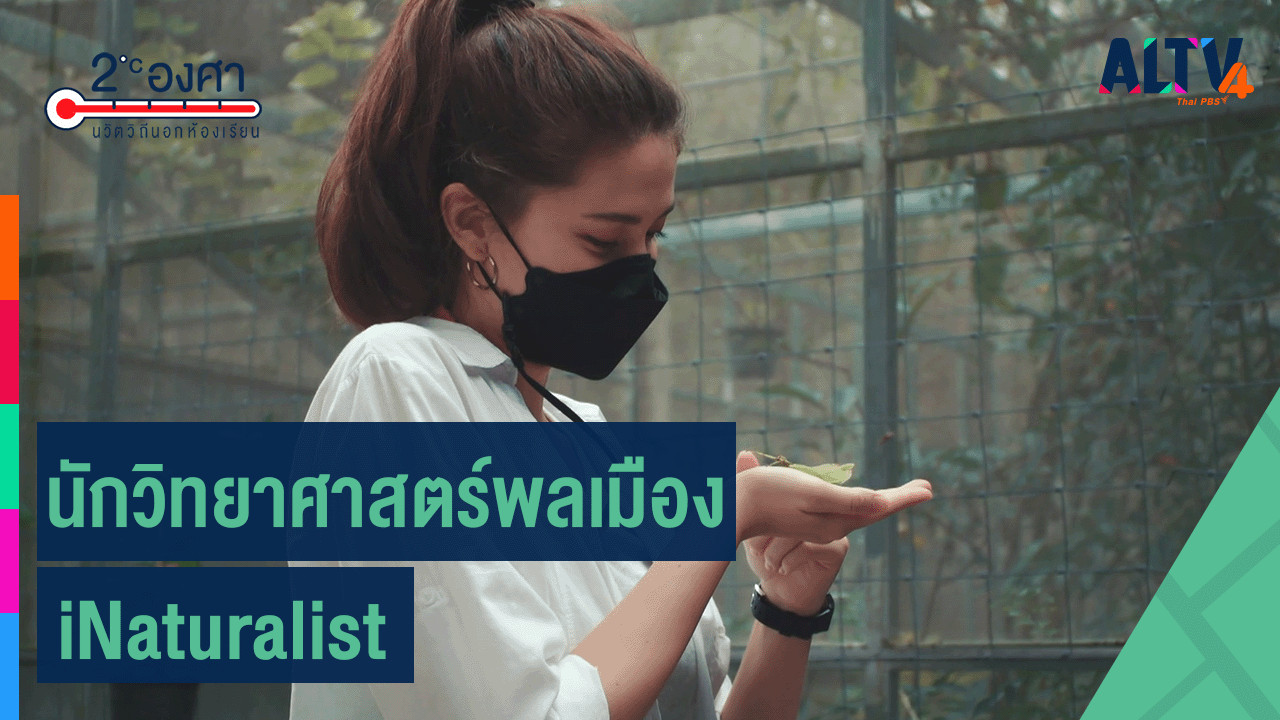 ALTV ช่อง 4 - นักวิทยาศาสตร์พลเมือง iNaturalist