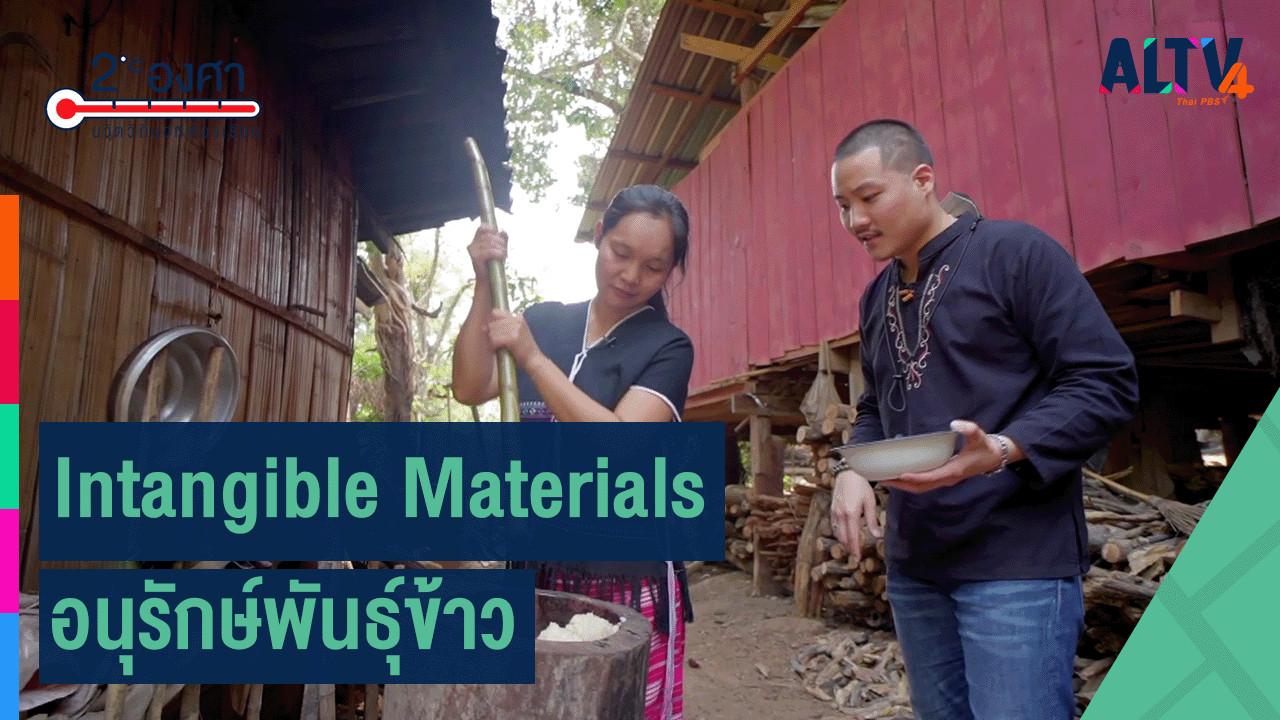 ALTV ช่อง 4 - Intangible Materials อนุรักษ์พันธุ์ข้าว