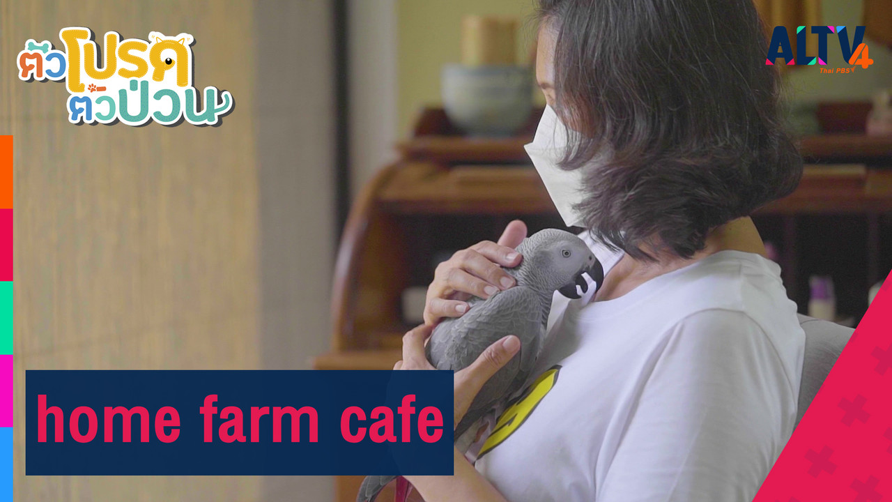 ALTV ช่อง 4 - home farm cafe