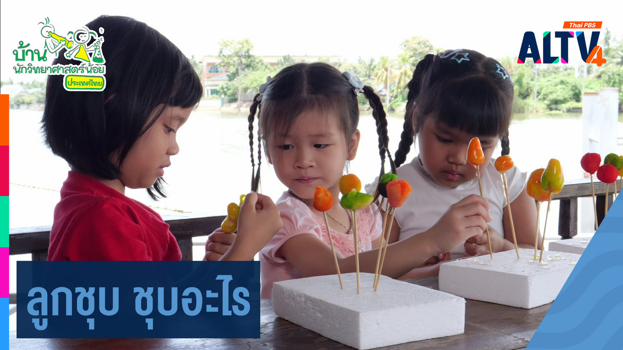 ALTV ช่อง 4 - ลูกชุบ ชุบอะไร